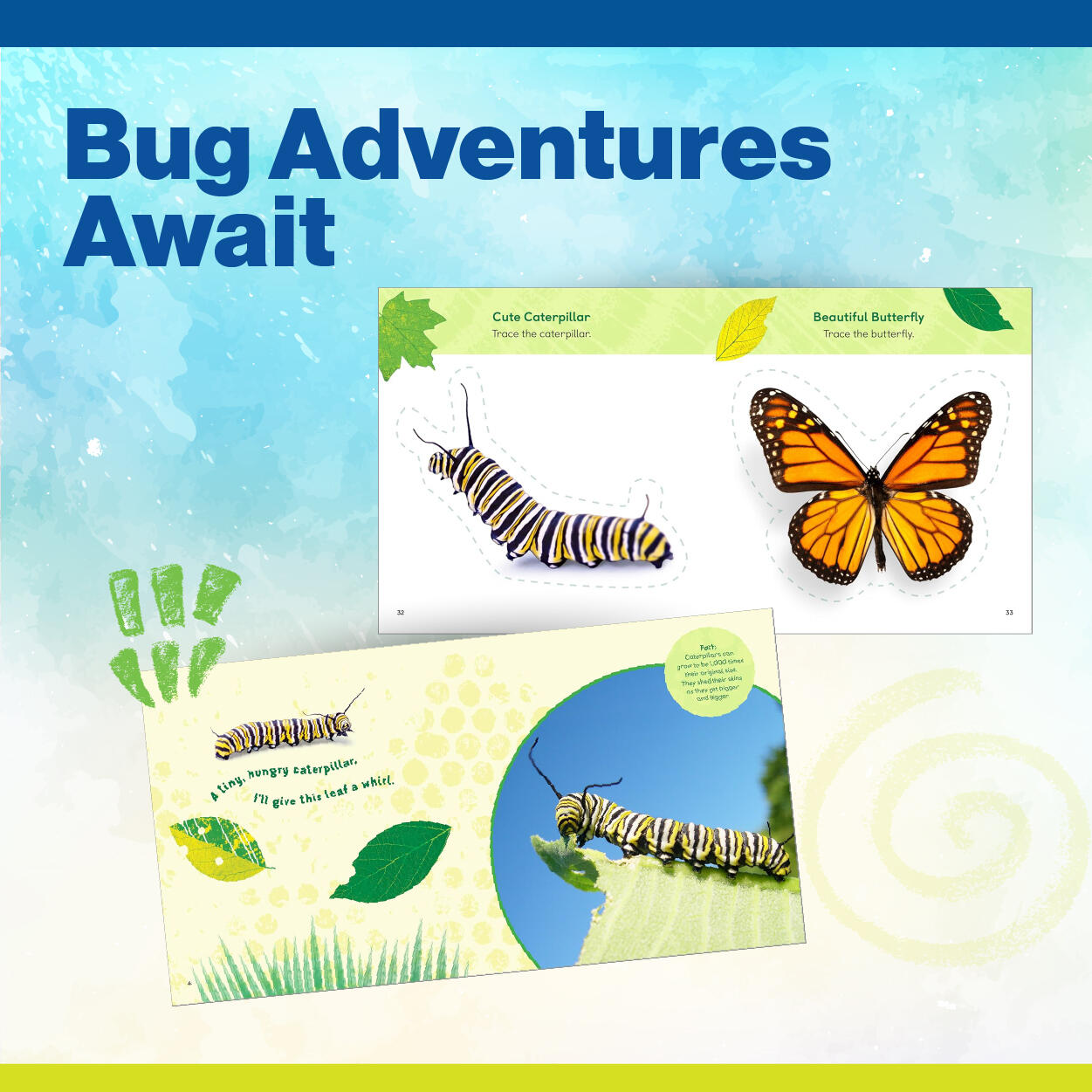 Bug Adventures